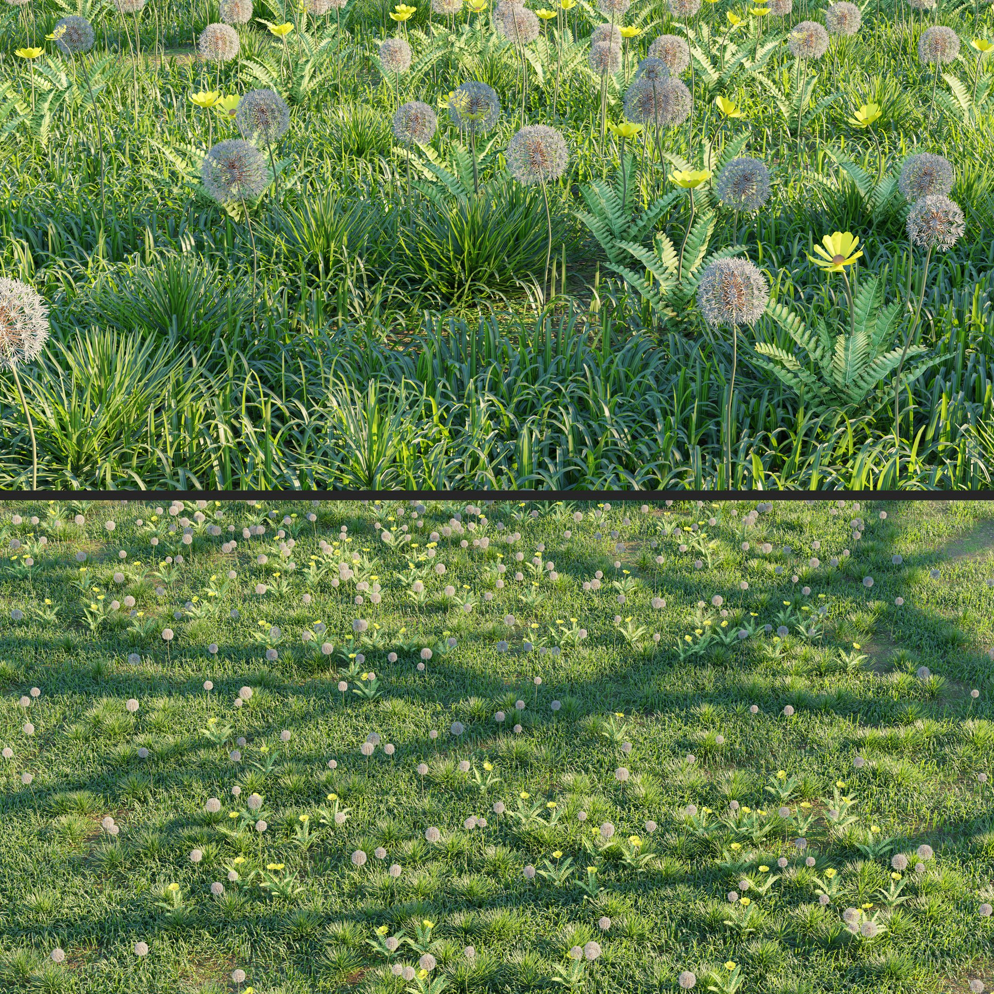 Grass | Grass models | BlenderKit