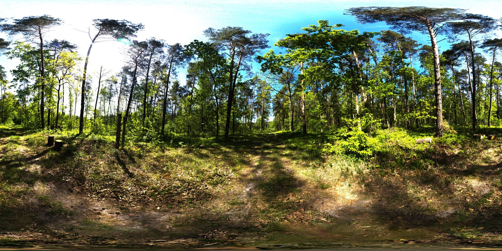 Forest road 14k (bg photos in desc) | FREE Landscapes HDRis | BlenderKit