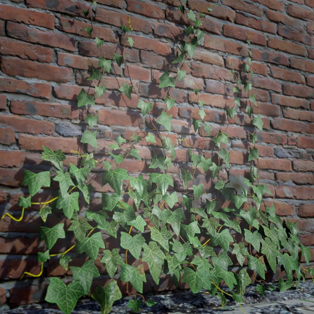 Ivy Creeper Going Up 1M 05 | Outdoor Plants models | BlenderKit