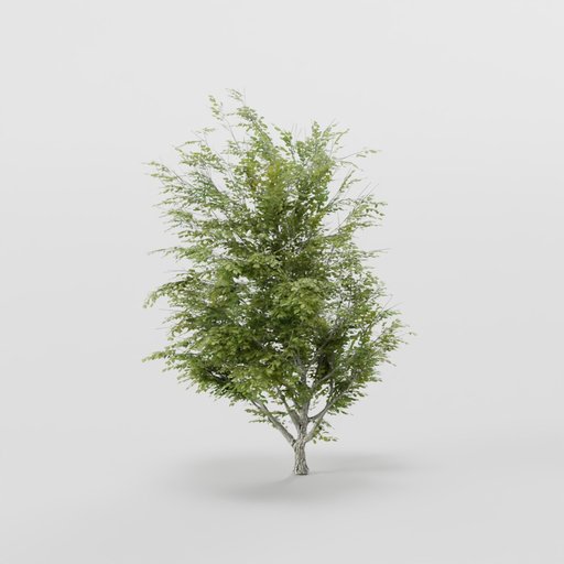 Old tree | Trees models | BlenderKit