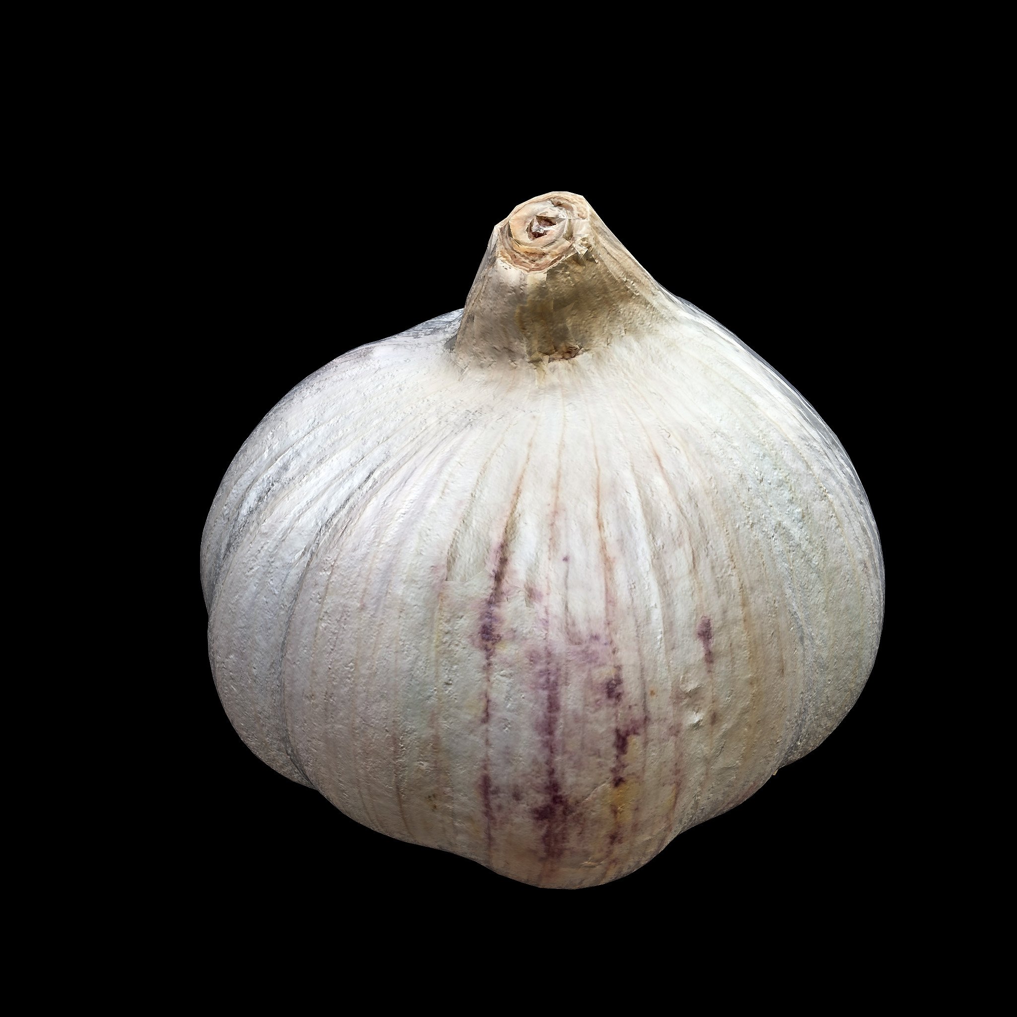 White Garlic | Fruit & Vegetables models | BlenderKit