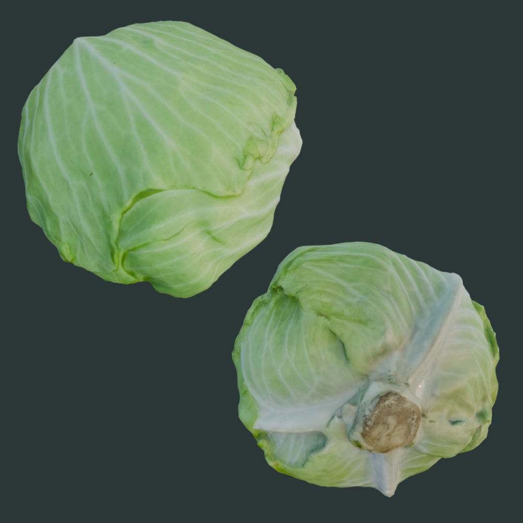 Cabbage | FREE Fruit & Vegetables models | BlenderKit