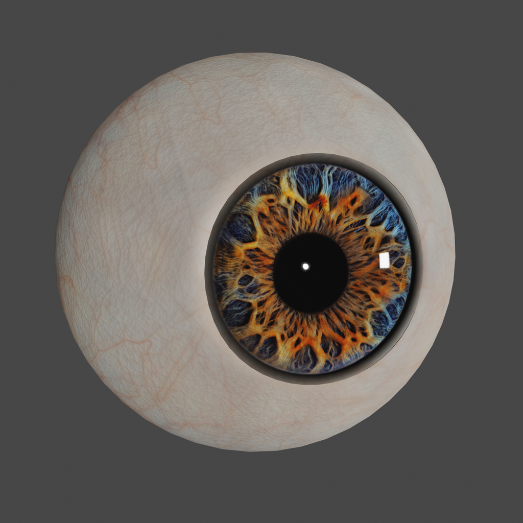 Realistic Rigged Procedural Eye | FREE Human Heads models | BlenderKit