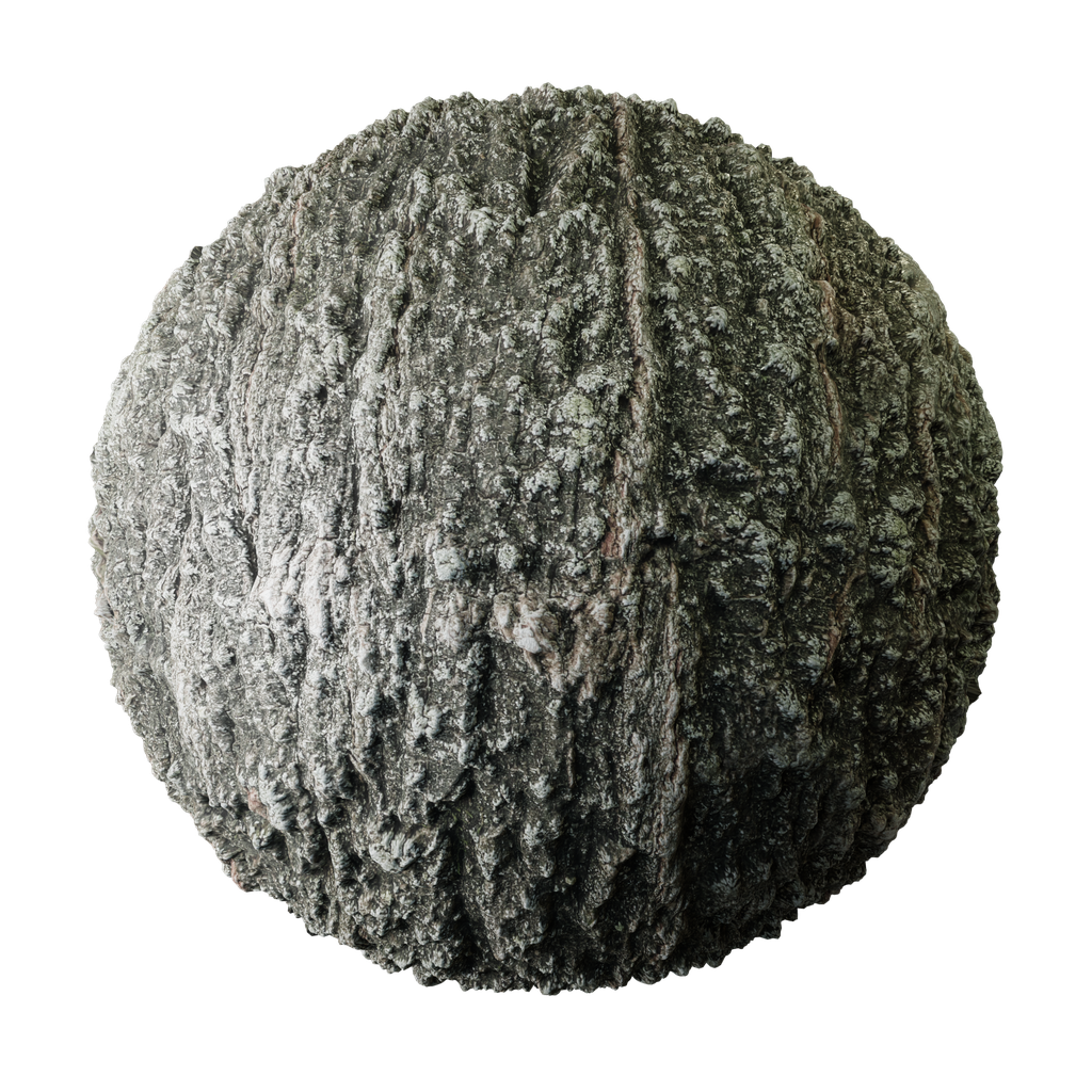 Coarse bark with fungal infestation | FREE wood materials | BlenderKit