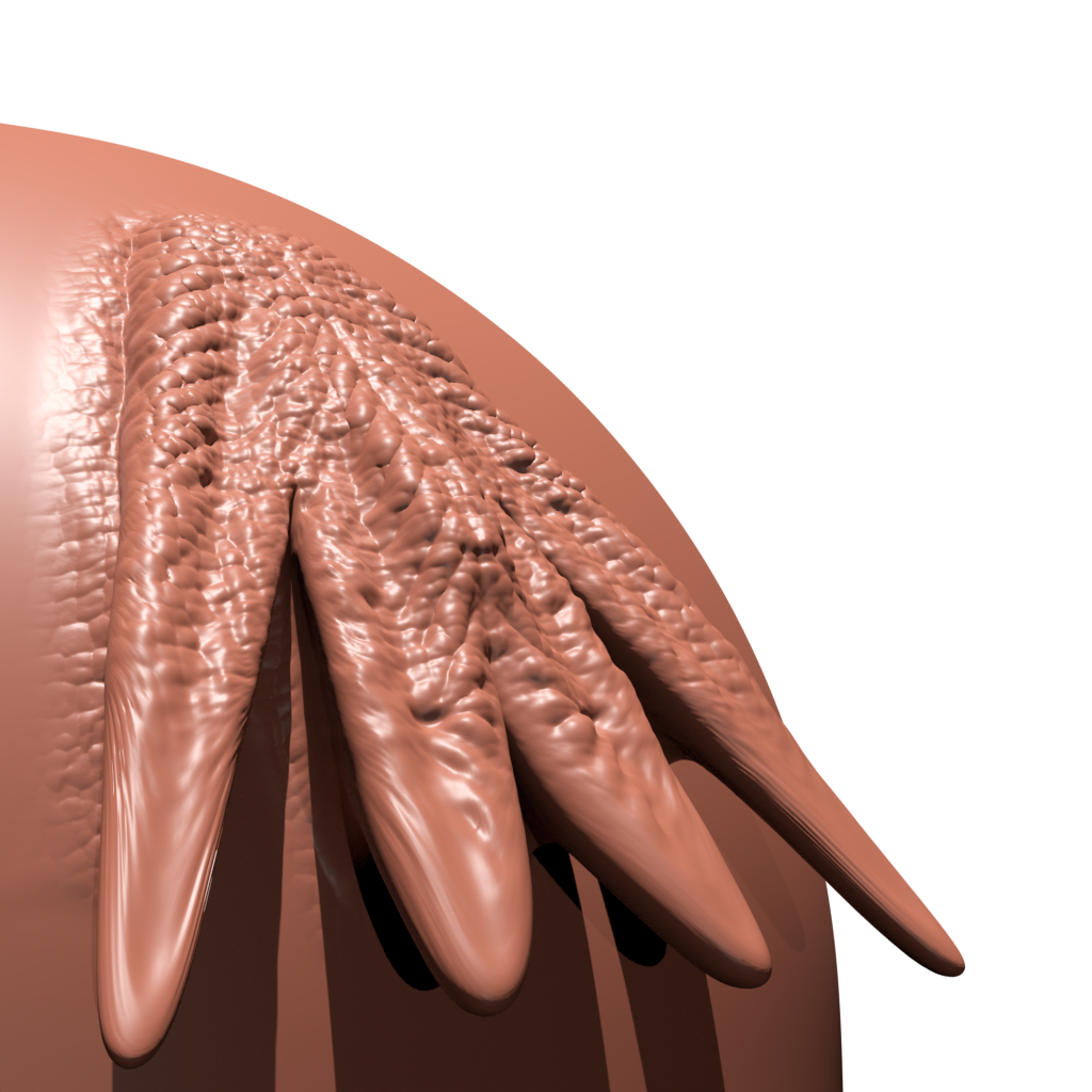 Dinosaur Bone Frill | Animal / Creature Skeleton brushes | BlenderKit