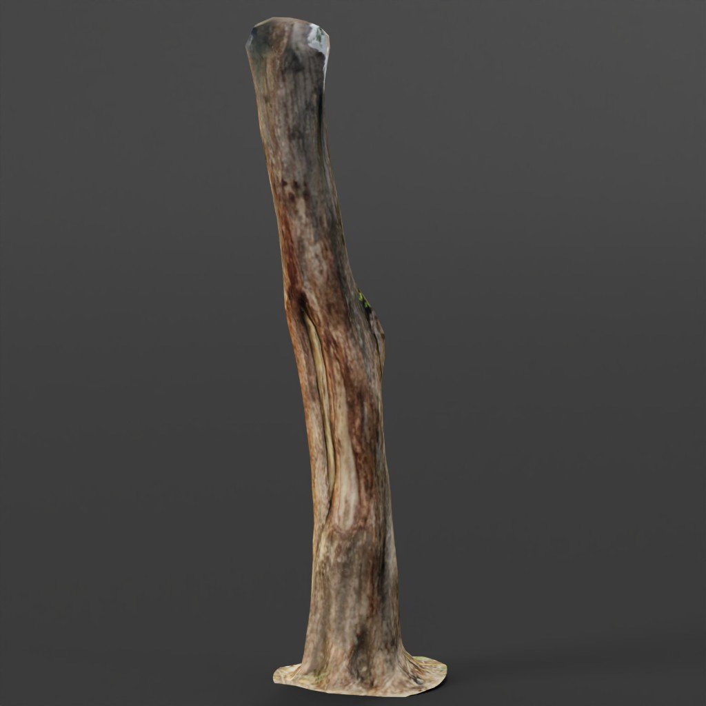 Trunk | FREE Trees models | BlenderKit