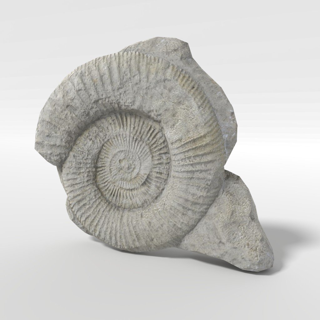 amonite | Interior Sculptures models | BlenderKit