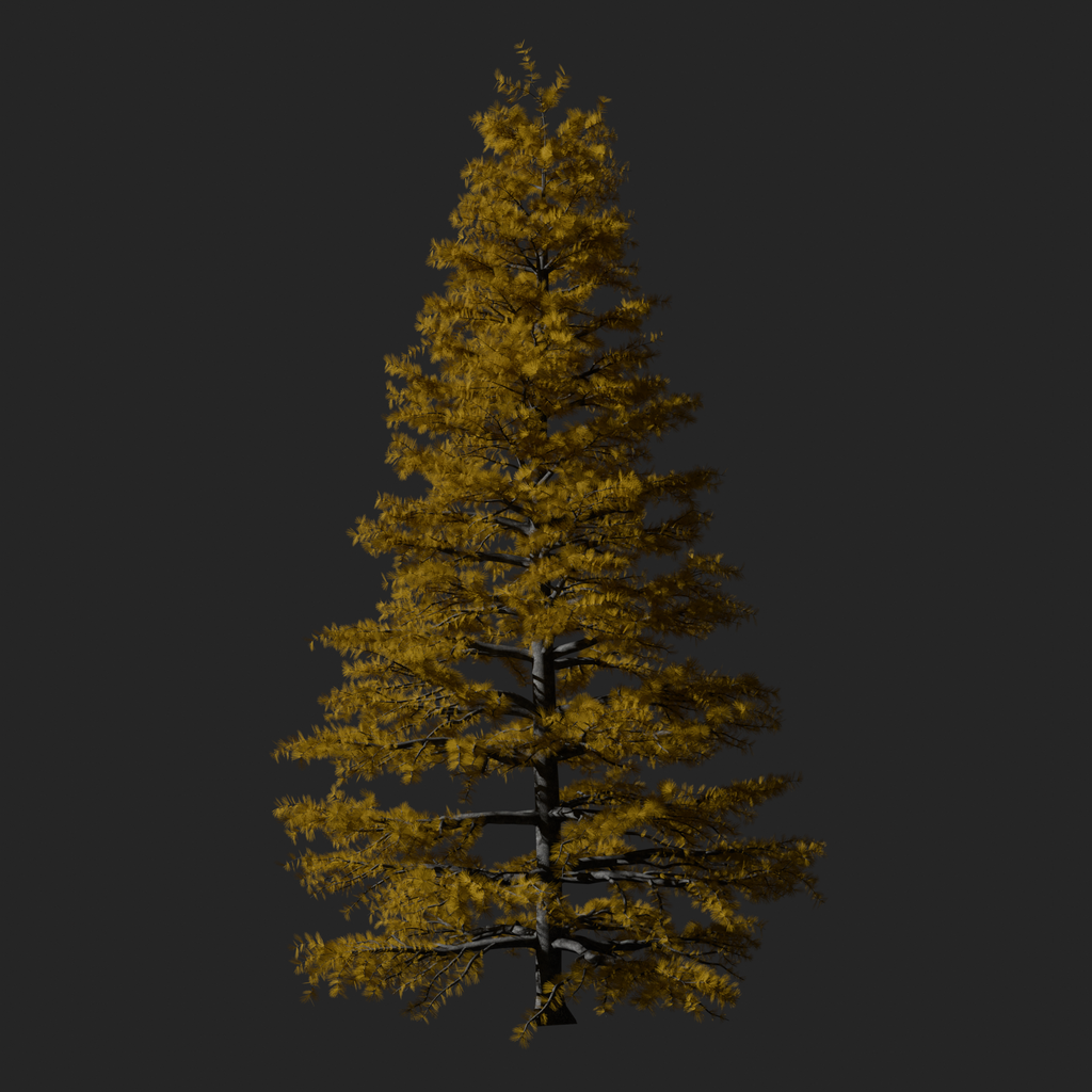 Larch Tree Fall Season | FREE Trees models | BlenderKit