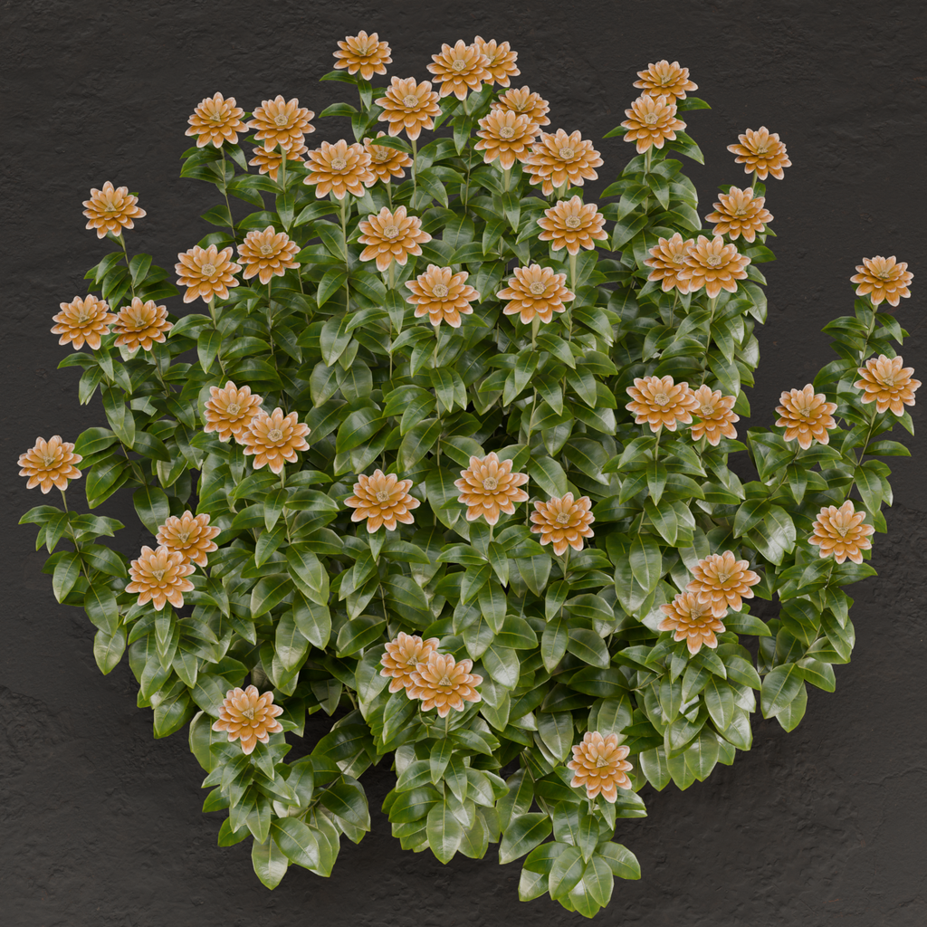 BlenderKit | Download the SJ-Nature-Inspired Bush model