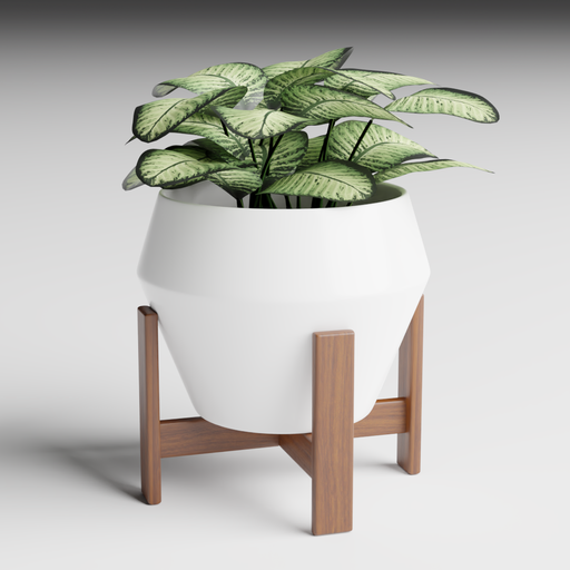 BlenderKit | Download the Indoor Planter model