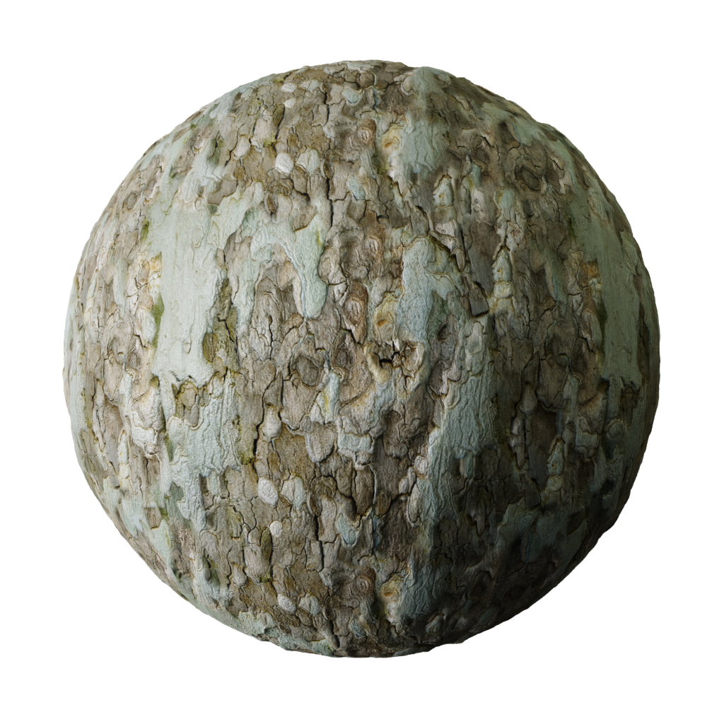 Tree Bark | FREE wood materials | BlenderKit