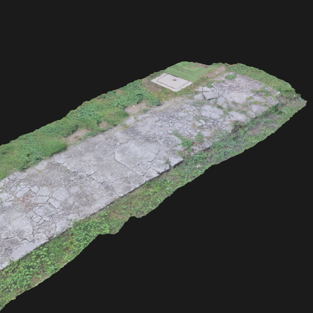 Photoscanned Ground 001 | FREE Terrains models | BlenderKit