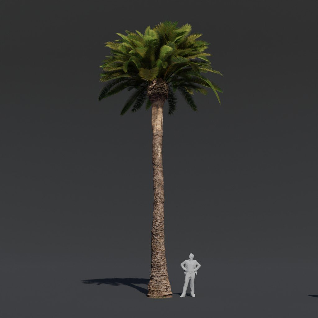 Tree Date Palm b1 | Trees models | BlenderKit