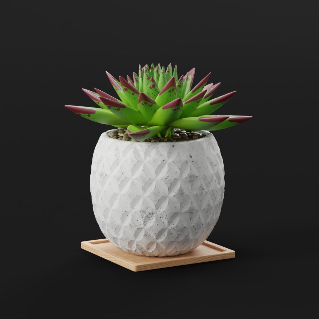 Succulent Plant | Indoor Plants models | BlenderKit