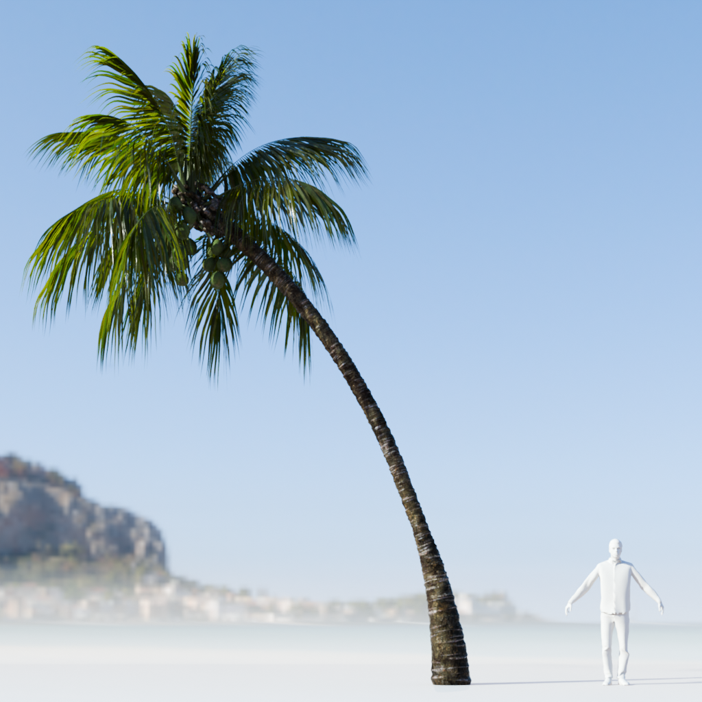 Coconut Tree | Trees models | BlenderKit