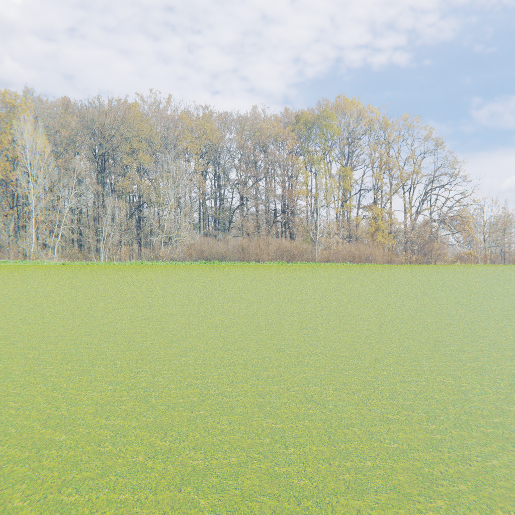 Treelines of Autumn Backdrop 007 b | FREE Trees models | BlenderKit