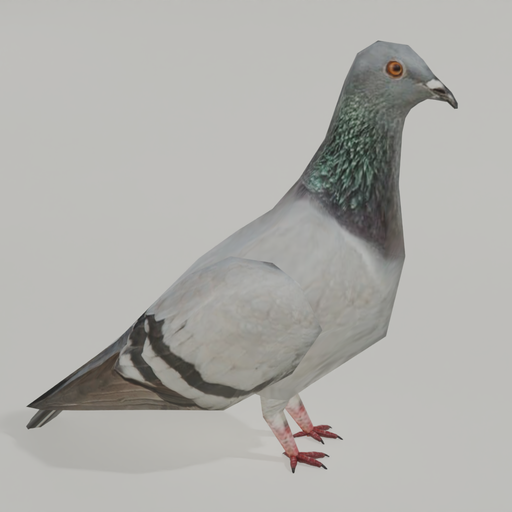 BlenderKit | Download the FREE Low Poly Pigeon model