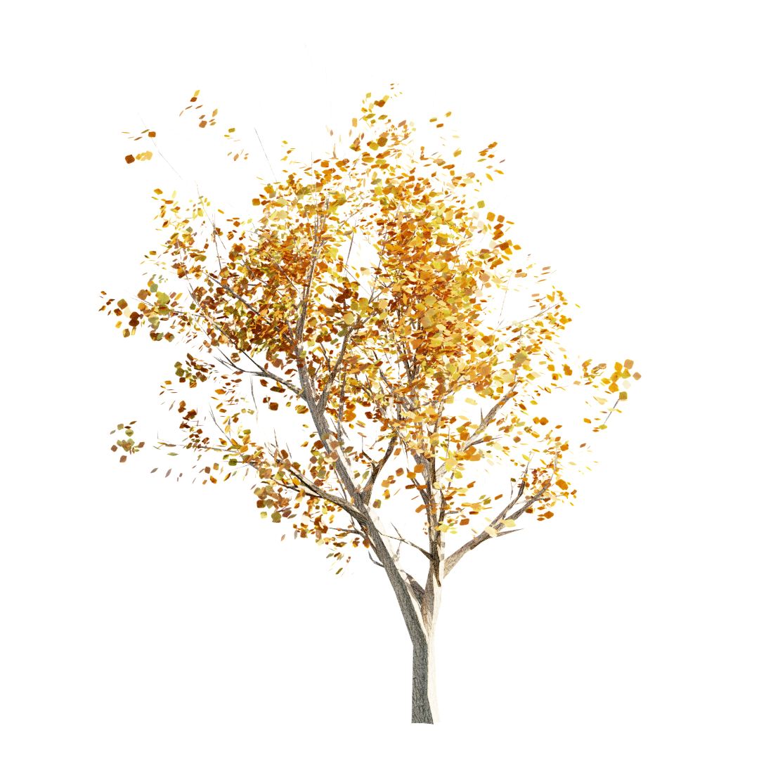 Tree LOD 2 Autumn | FREE Trees models | BlenderKit
