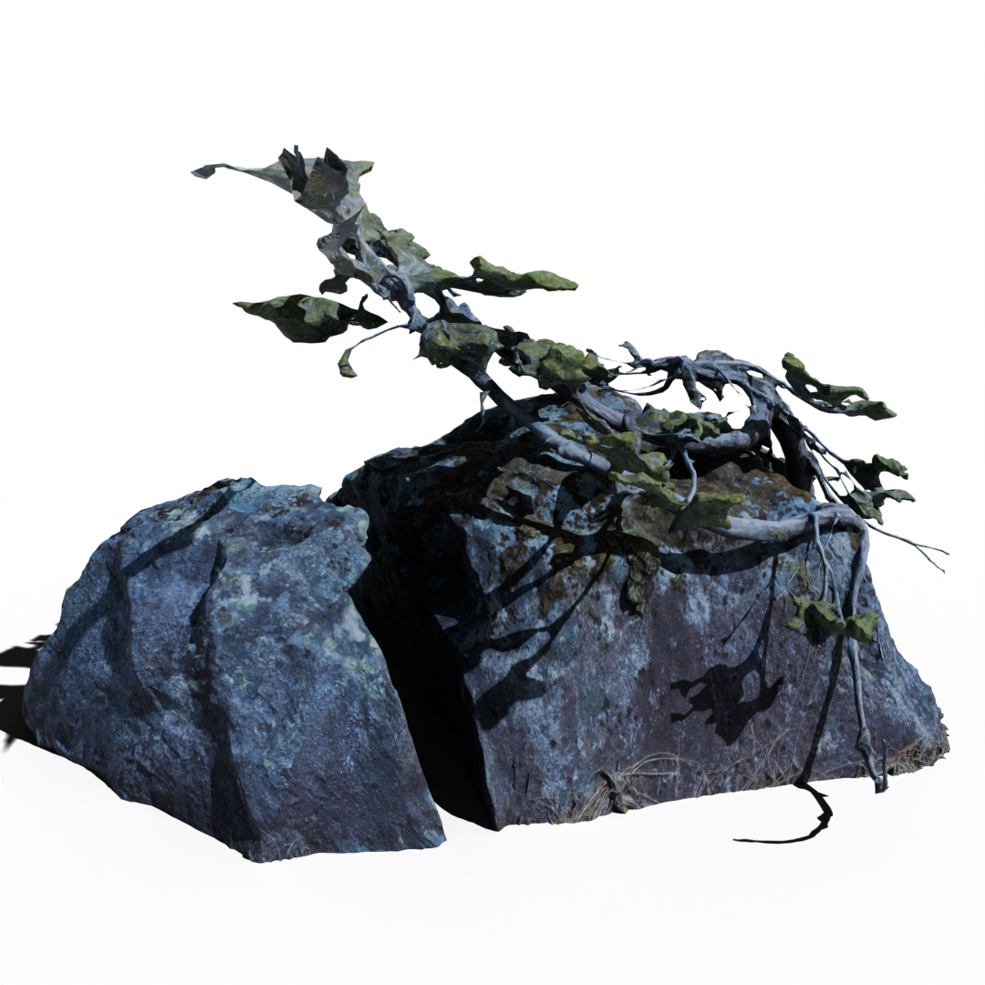 Split Rock with Tree and Moss | FREE Environment Elements models | BlenderKit