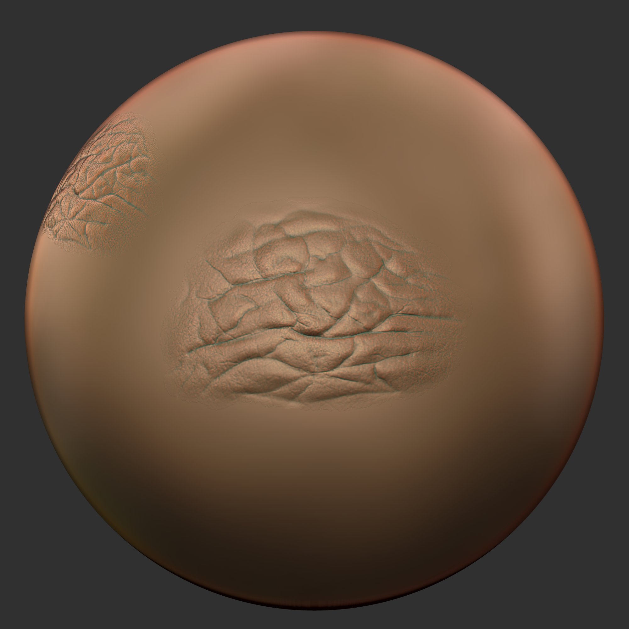 ER Human Skin(B) 09 | Human Skin brushes | BlenderKit