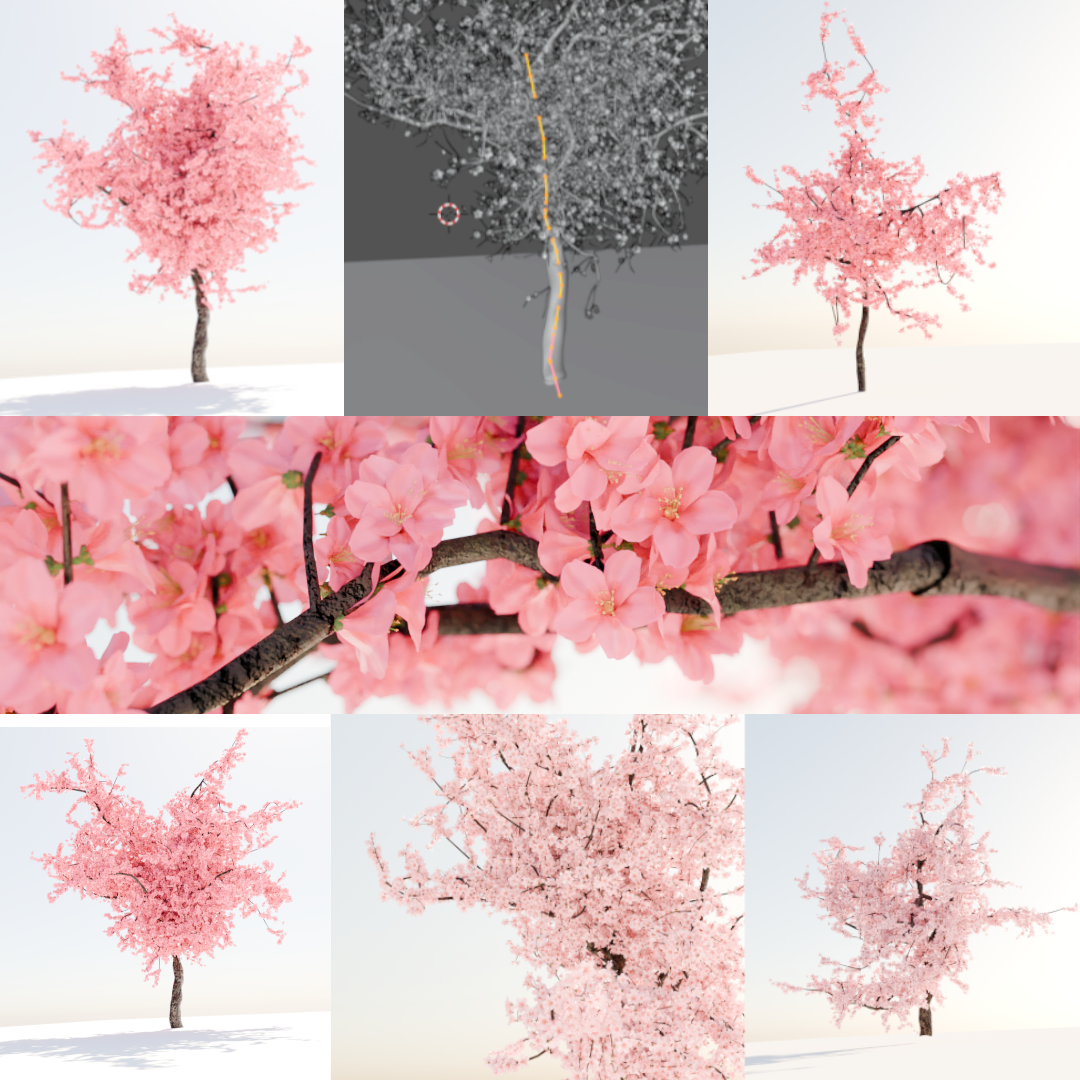 Sakura Blooming | FREE Trees models | BlenderKit