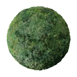 Grass Clovers | FREE grass materials | BlenderKit