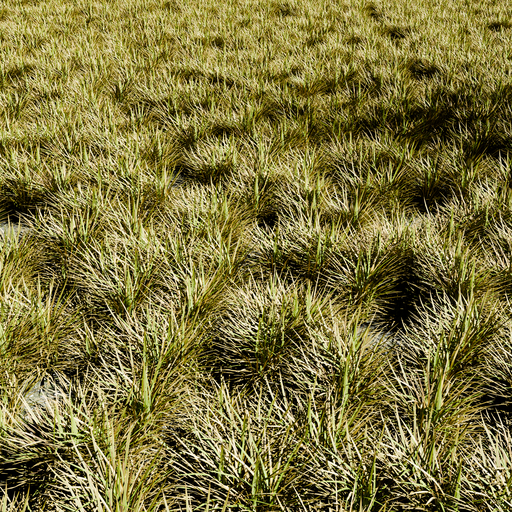 Old Grass | Grass models | BlenderKit
