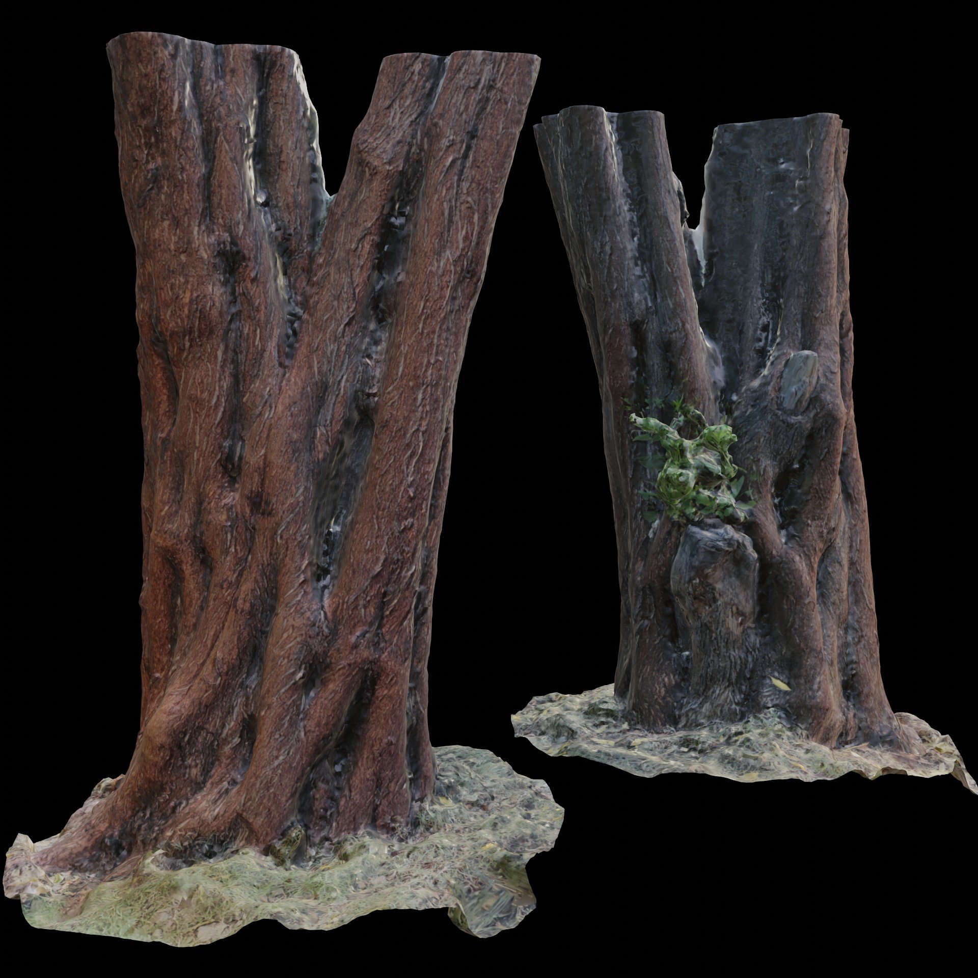Tree | FREE Trees models | BlenderKit