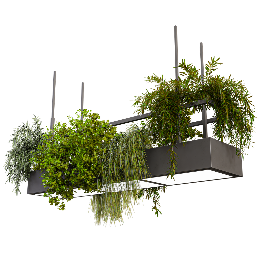 Pendant light with plants D | Ceiling Lights models | BlenderKit