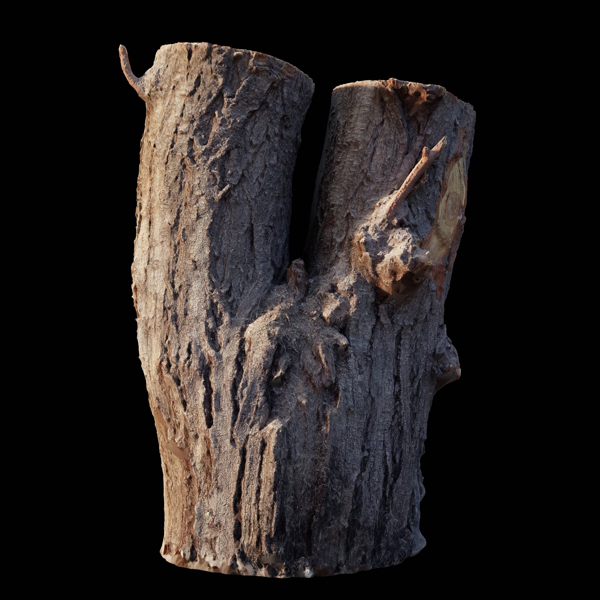 Photoscanned Trunk 1 LOD 0 | Trees models | BlenderKit