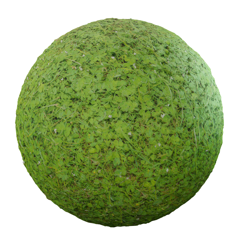 Clover Ground Cover | FREE ground materials | BlenderKit