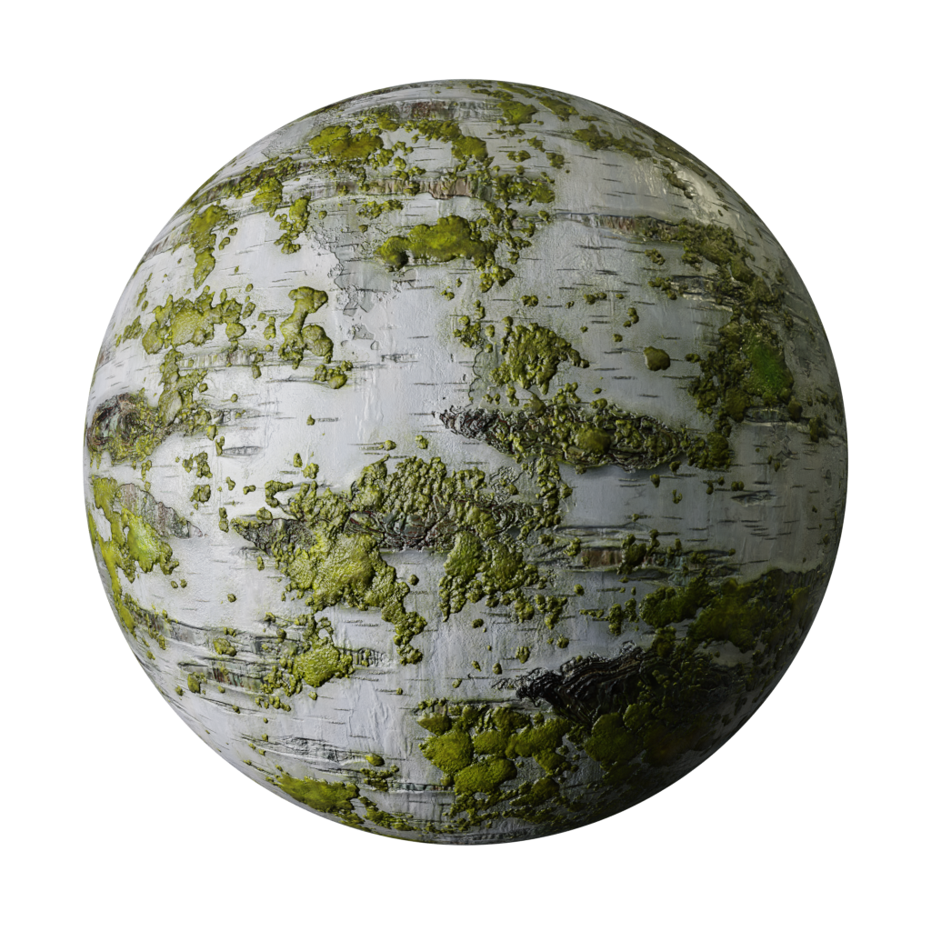 Birch Tree Bark with Moss | FREE organic materials | BlenderKit