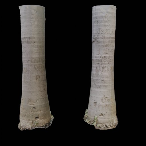 Cocunut treee | FREE Trees models | BlenderKit