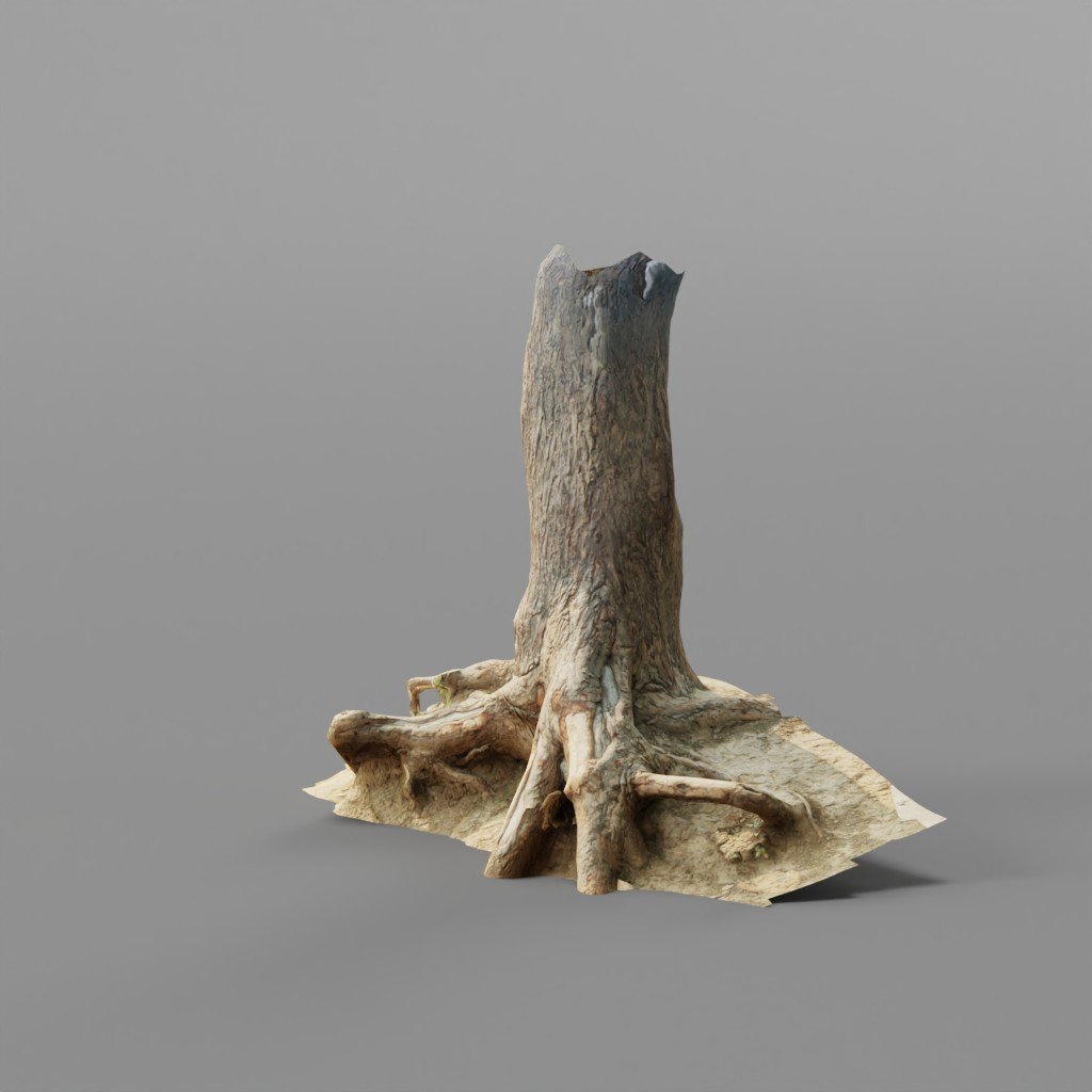 BlenderKit | Download the FREE Tree trunk with roots model
