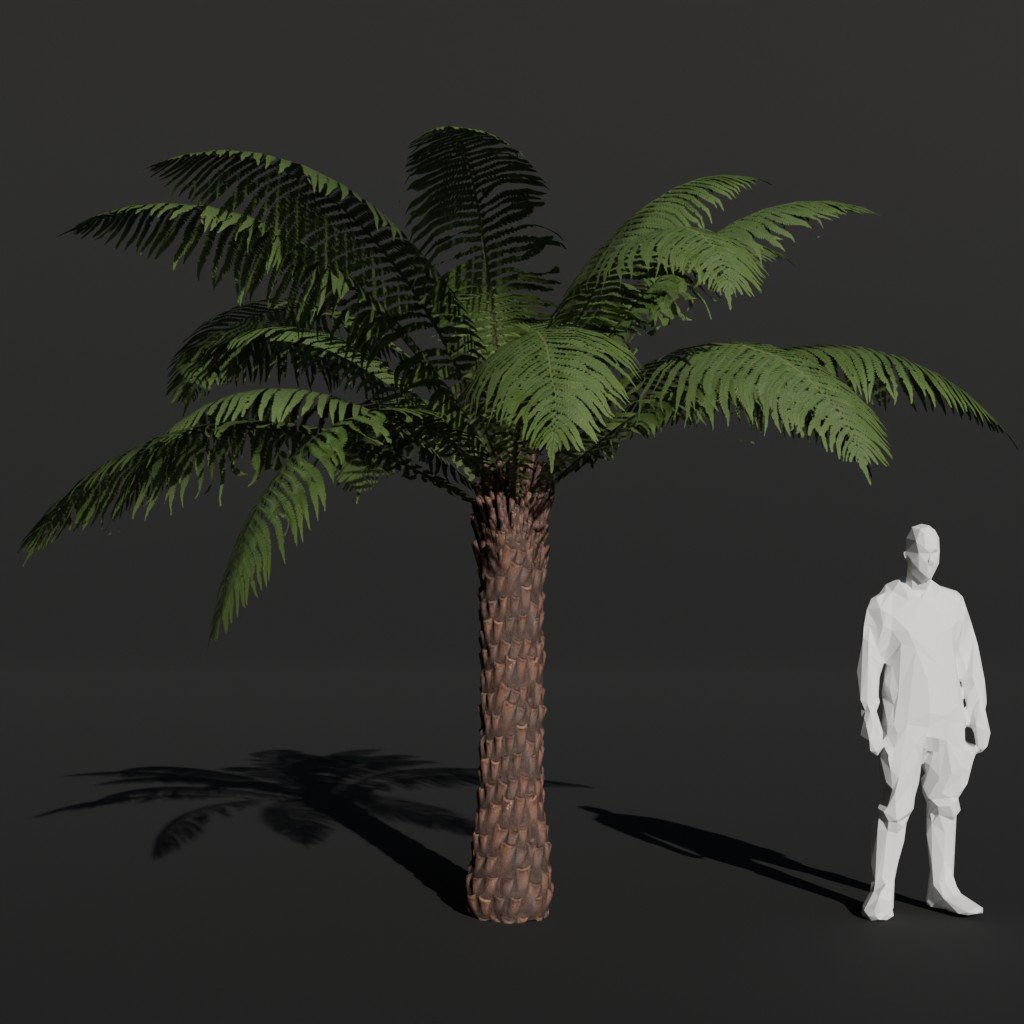 Tree Fern Medium Full | Trees models | BlenderKit