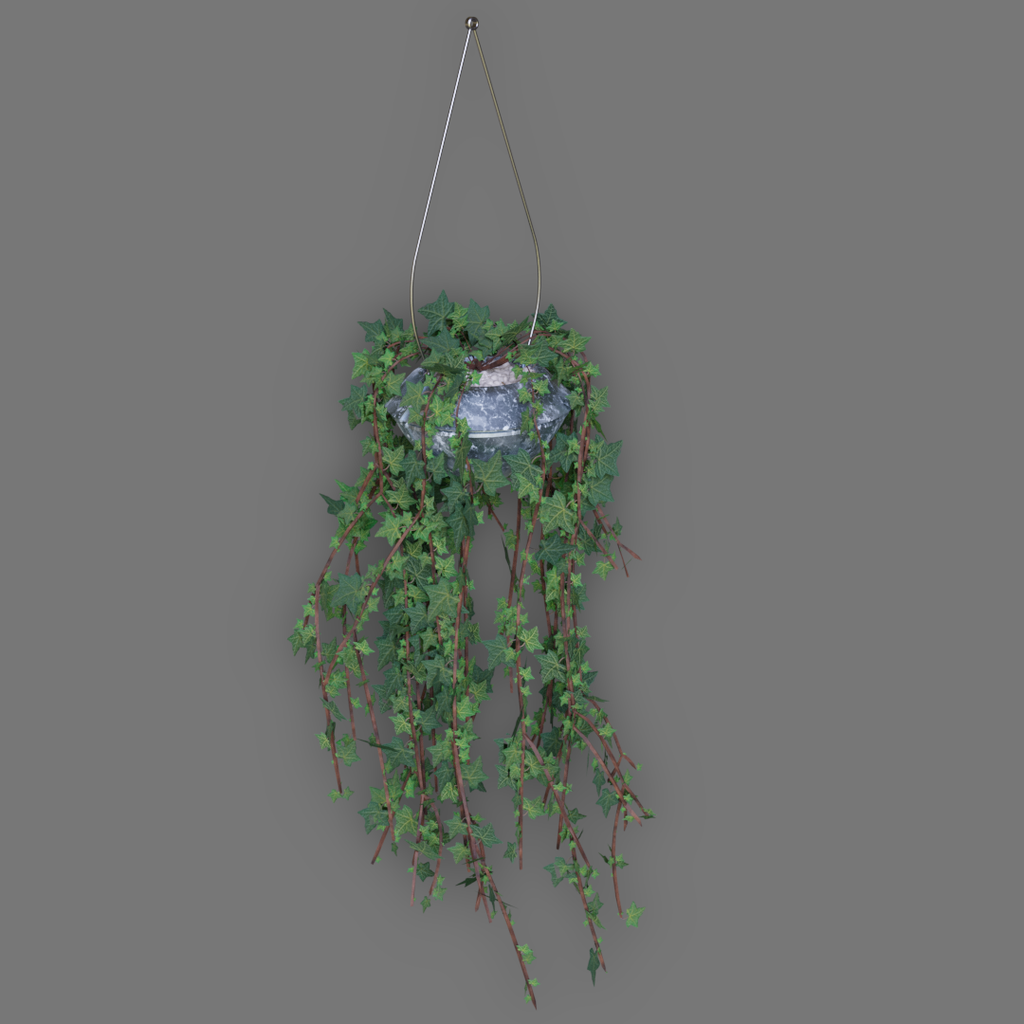 BlenderKit | Download the FREE Hanging Plant model
