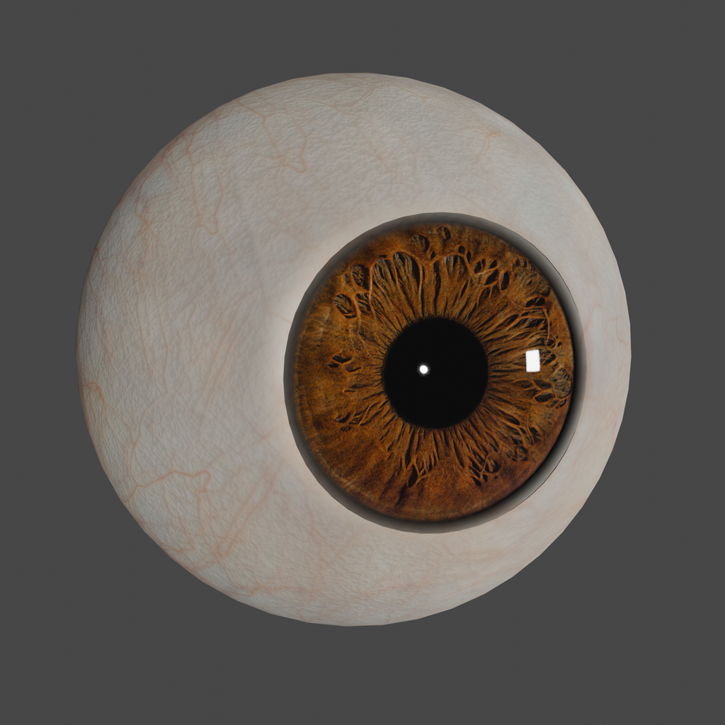 Eye - brown | FREE Human Heads models | BlenderKit