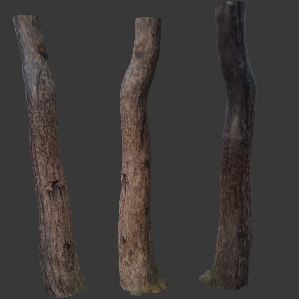 Tree Branch | FREE Trees models | BlenderKit