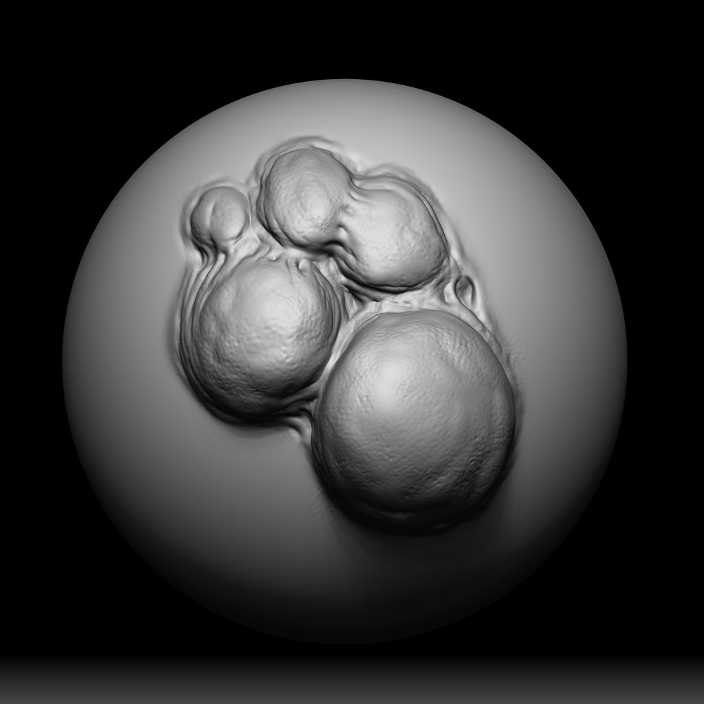 NS Mutant Growth hard flesh | animal brushes | BlenderKit