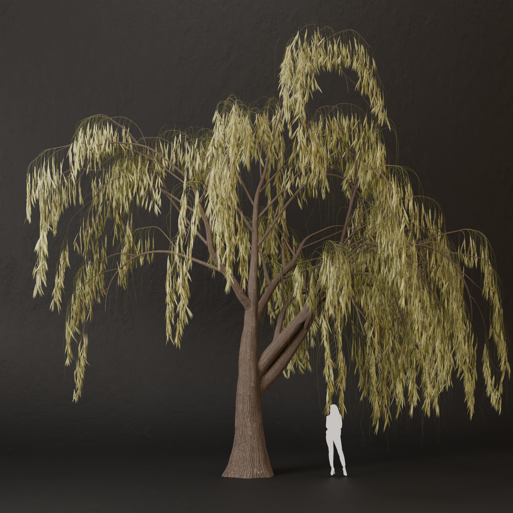 BlenderKit | Download the SJ-Graceful Shade Spirit model