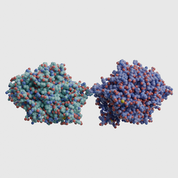Lactase | Microbiology models | BlenderKit
