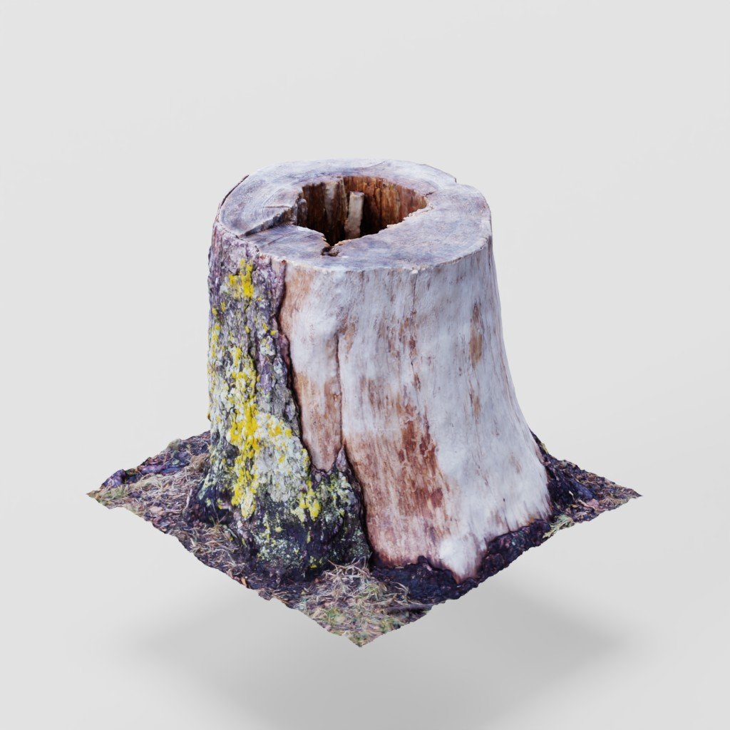 Pine Tree Stump | FREE Trees models | BlenderKit