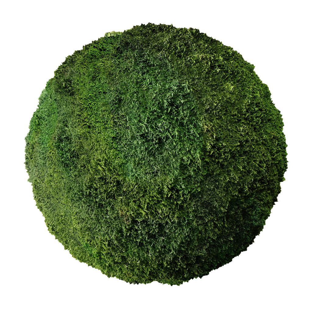Grass Texture | FREE grass materials | BlenderKit