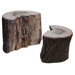 Cutted Stump | FREE Trees models | BlenderKit