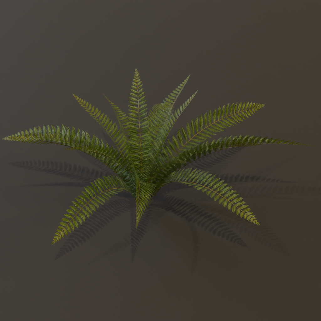 Wild Fern Large Var | Outdoor Plants models | BlenderKit