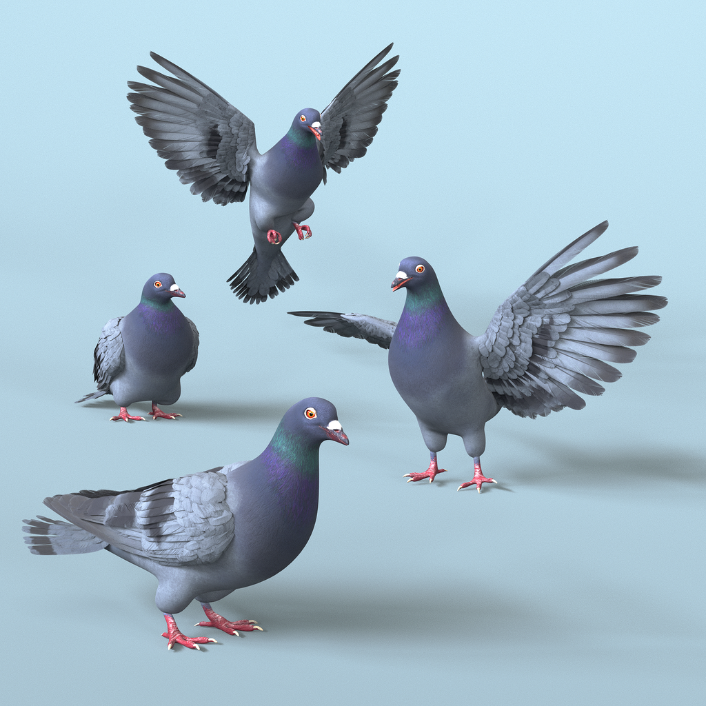 Angel Wings | FREE Birds models | BlenderKit