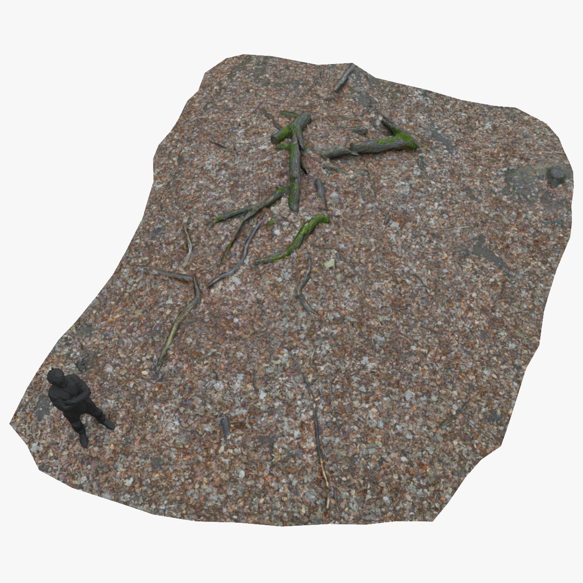 Forest Ground Leaves | Terrains models | BlenderKit