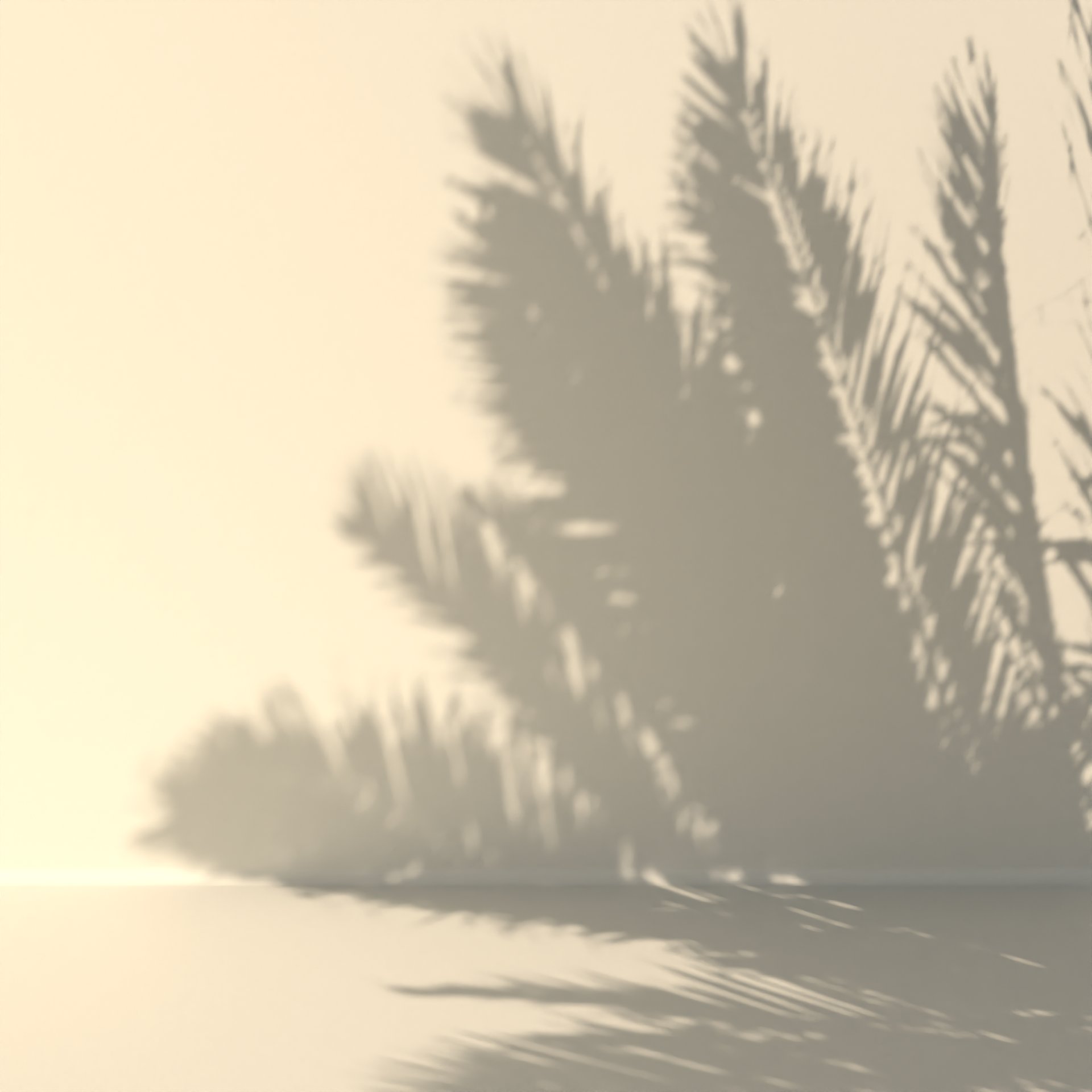 Palm Tree Gobos 4 | Motion Design models | BlenderKit