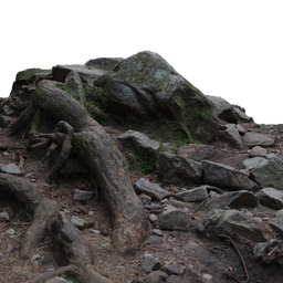 Rocks, Tree Roots in Forest | FREE Environment Elements models | BlenderKit