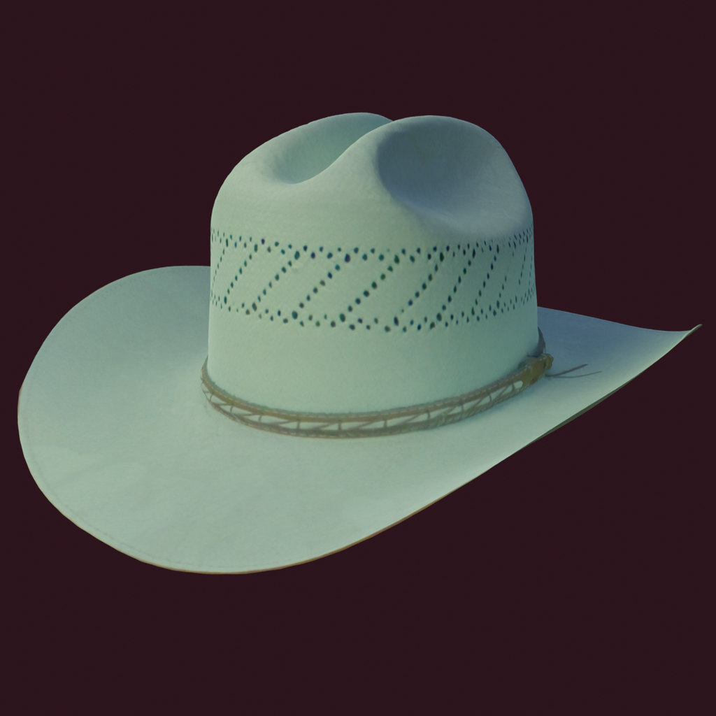 Cowboy Hat | FREE Headwear models | BlenderKit